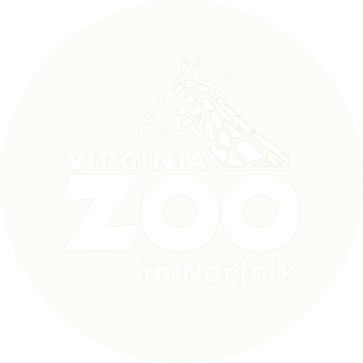 Livestreams Calendar June 2025 | Streamable Learning