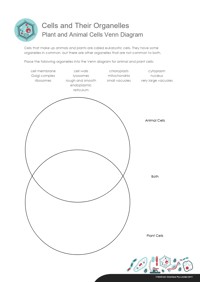 Cells and Their Organelles Video & Resources | ClickView