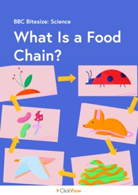 What Is a Food Chain? Video & Resources | ClickView