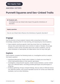 Punnett Squares and Sex-Linked Traits | ClickView