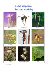 How Do Plants Spread Their Seeds? | ClickView