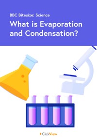 evaporation   bbc bitesize
