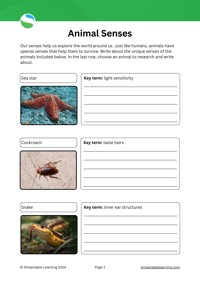 Animal Senses Recording | Streamable Learning