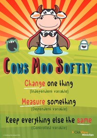 Cows Moo Softly: How to Do a Fair Test | ClickView