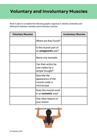 Voluntary and Involuntary Muscles | ClickView