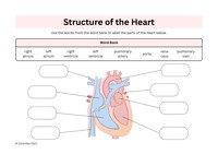 Human Circulatory System Video & Resources | ClickView