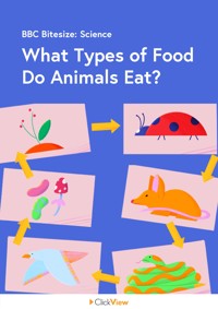 What Types of Food Do Animals Eat? | ClickView