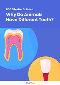 Why Do Animals Have Different Teeth? | ClickView