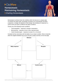 Maintaining Homeostasis Video & Resources | ClickView