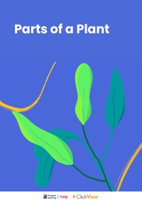 Green Plants Videos, Resources & Worksheets | ClickView
