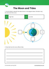 The Moon's Impact on Life on Earth | Streamable Learning