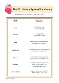 Human Circulatory System Video & Resources | ClickView