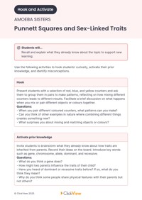 Punnett Squares and Sex-Linked Traits | ClickView