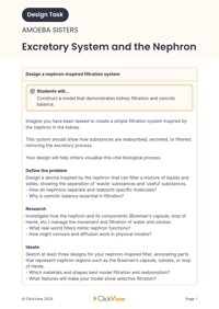Excretory System and the Nephron | ClickView