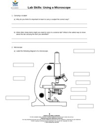 Using a Microscope Video & Resources | ClickView