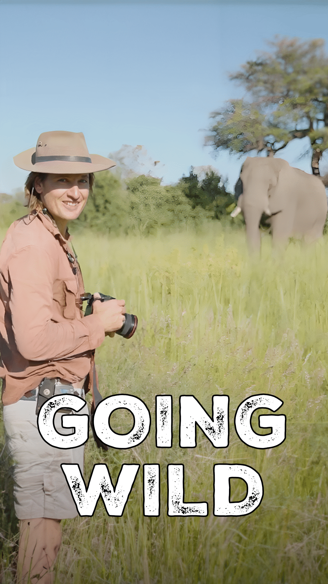 Going Wild Videos & Resources | ClickView