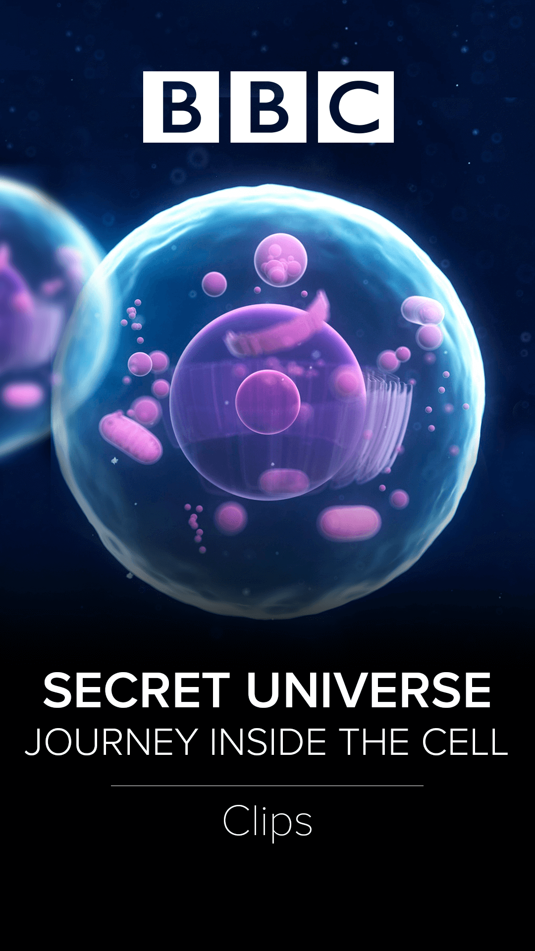 Cellular Structure and Function | ClickView