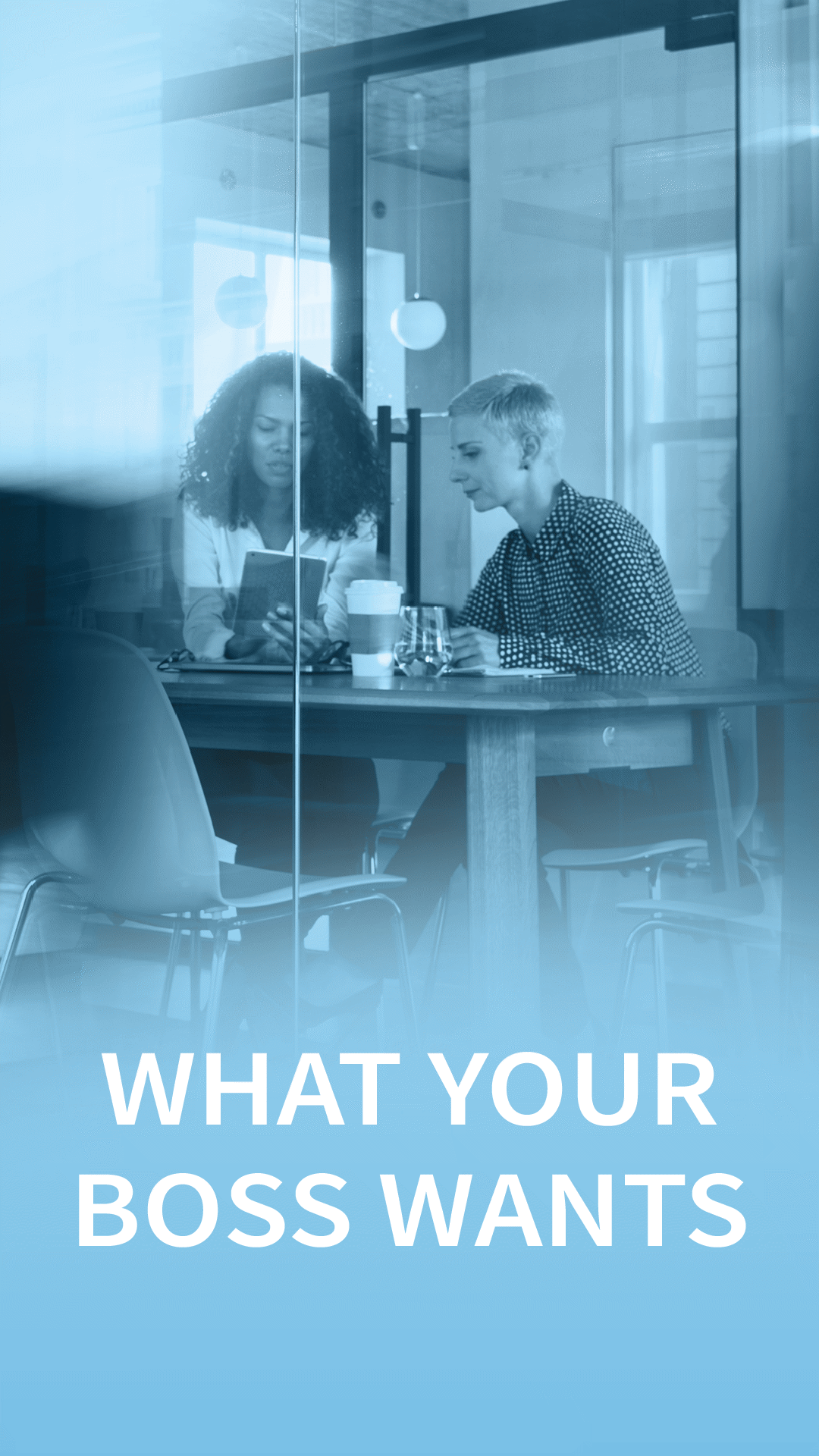 Applications and Job Interviews | ClickView