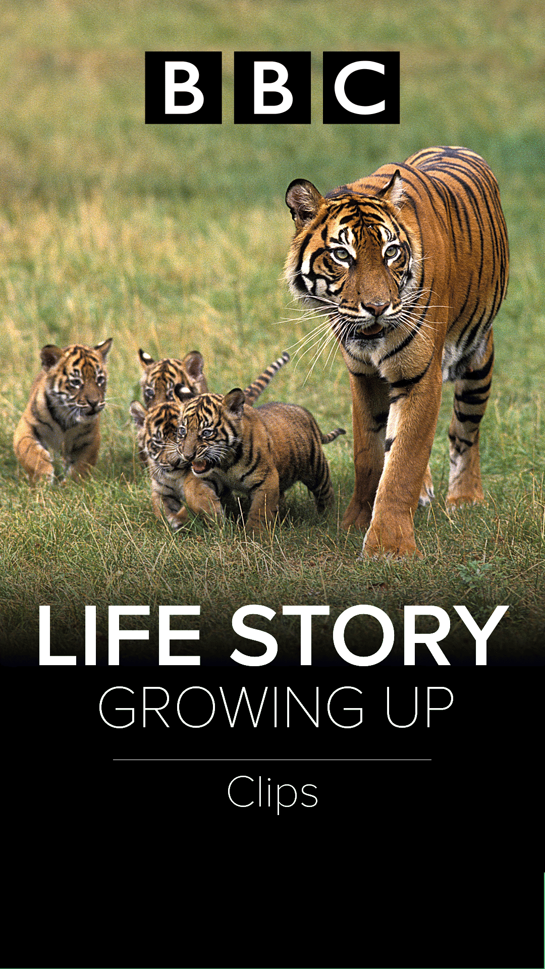 Life Story: Growing Up (Clips) Videos & Resources | ClickView