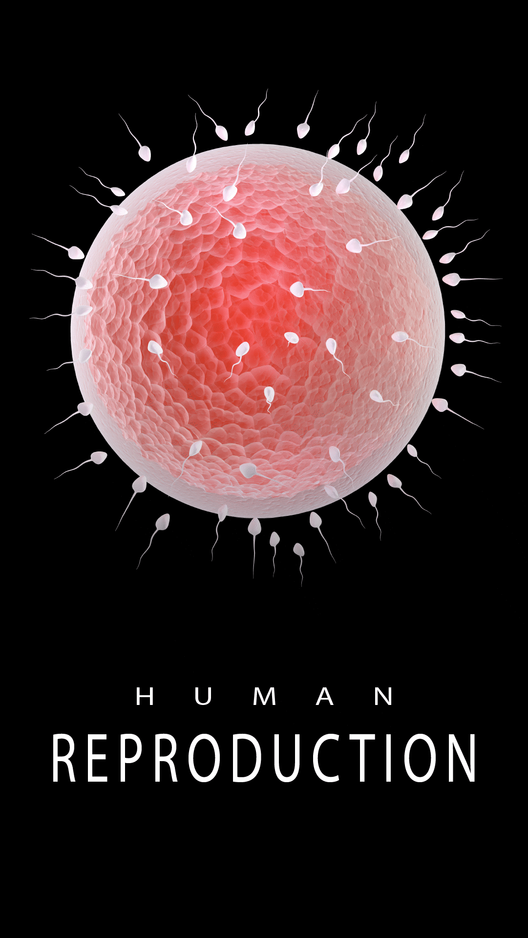 Human Reproduction Videos & Resources | ClickView