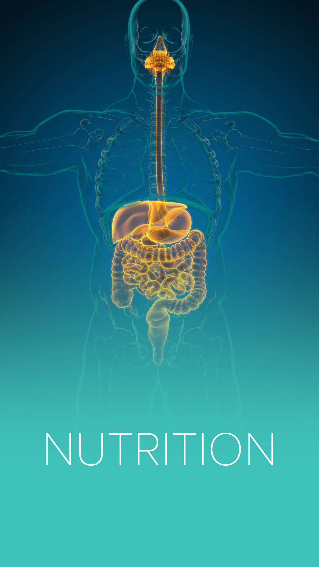 Nutrition Videos & Resources | ClickView