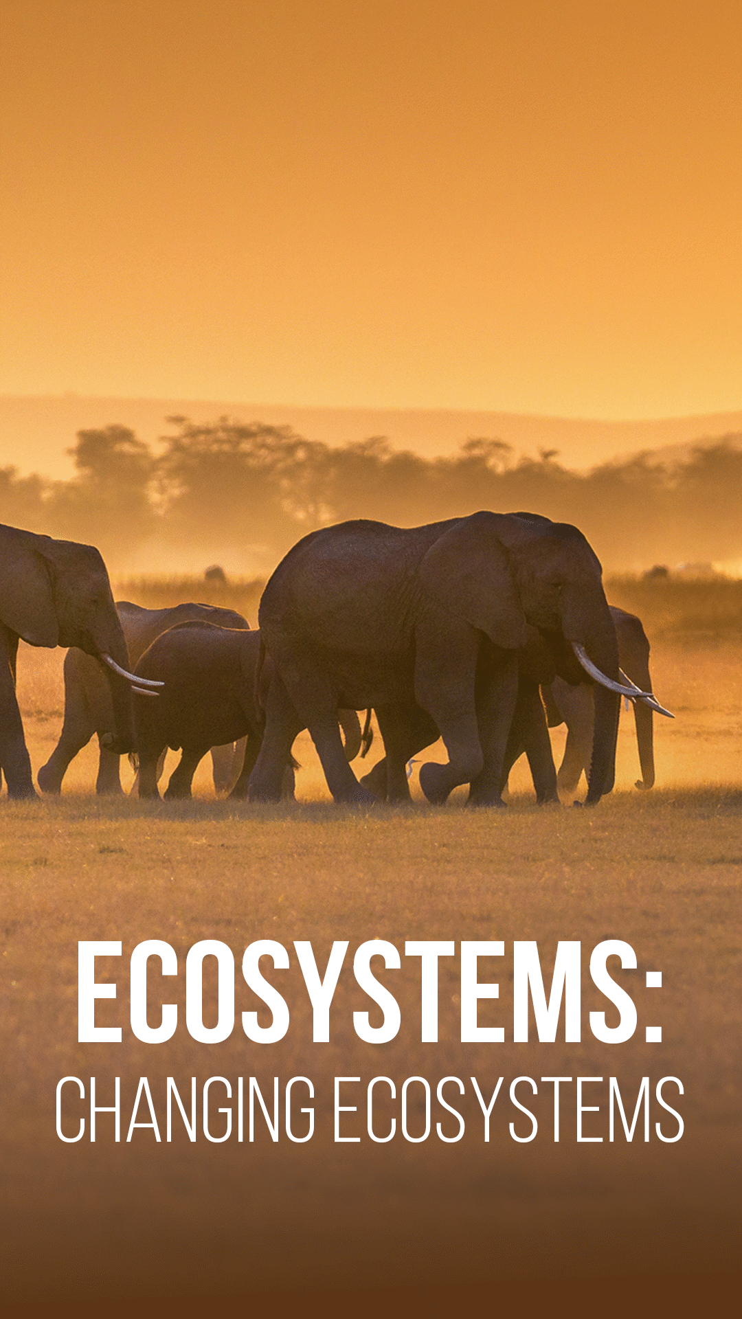 Ecosystems: Changing Ecosystems | ClickView