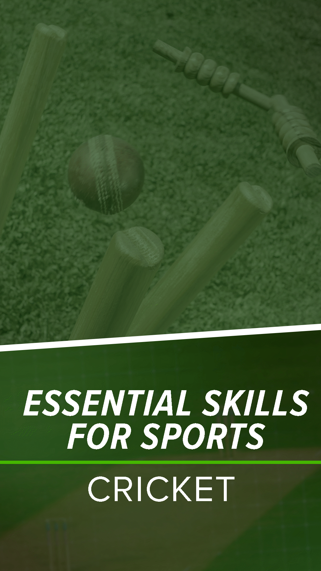 Primary Videos, Resources & Worksheets | ClickView