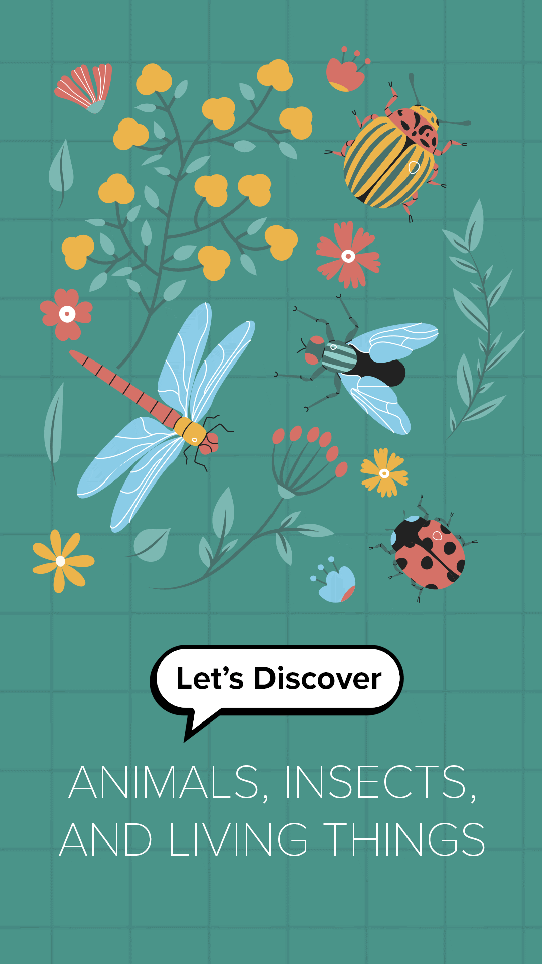 Let's Discover: Animals, Insects, and Living Things | ClickView