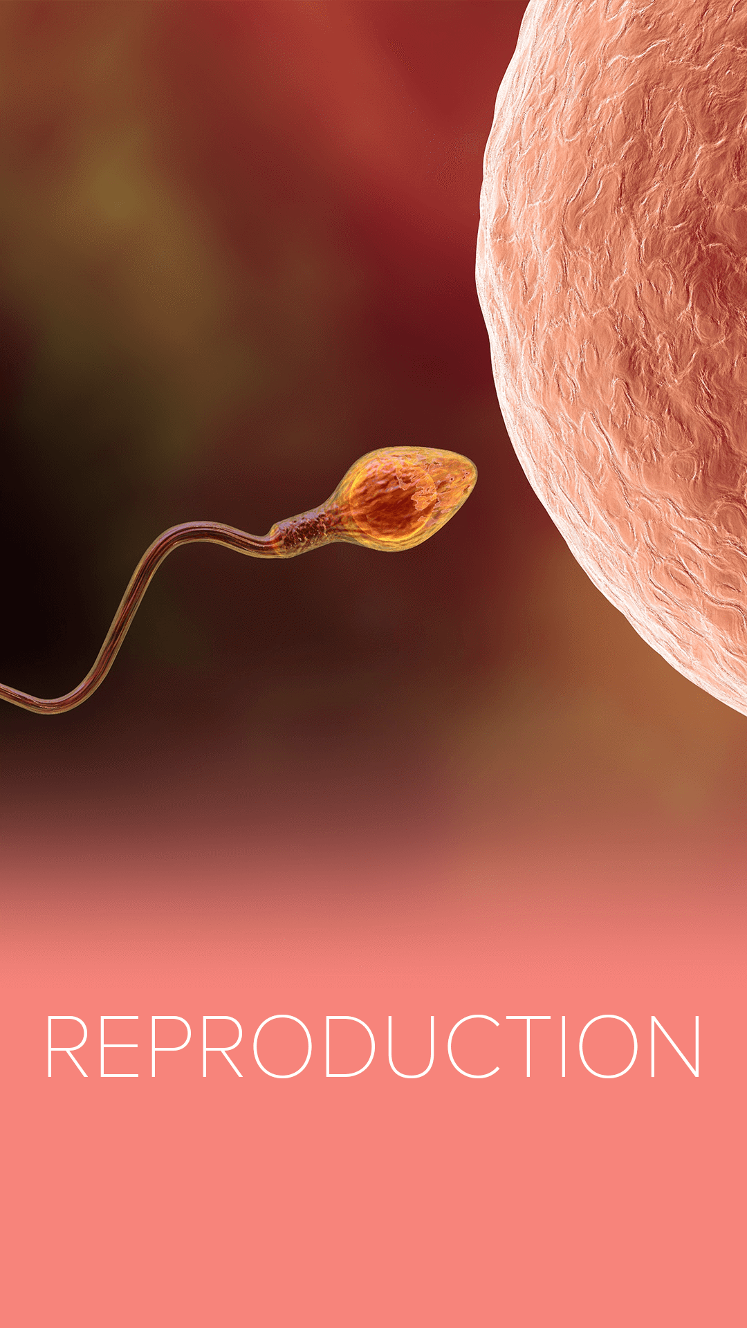 Biology Videos, Resources & Worksheets | ClickView