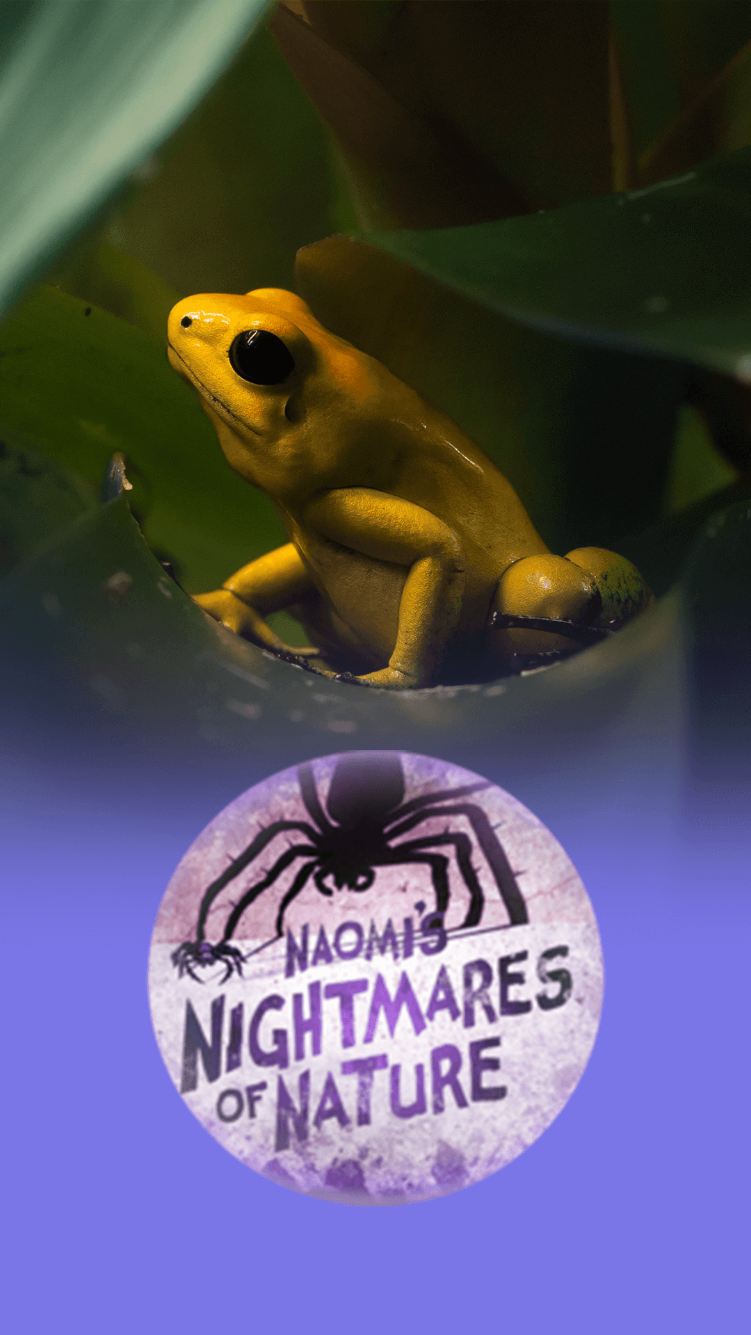 Naomi's Nightmares of Nature Videos & Resources | ClickView