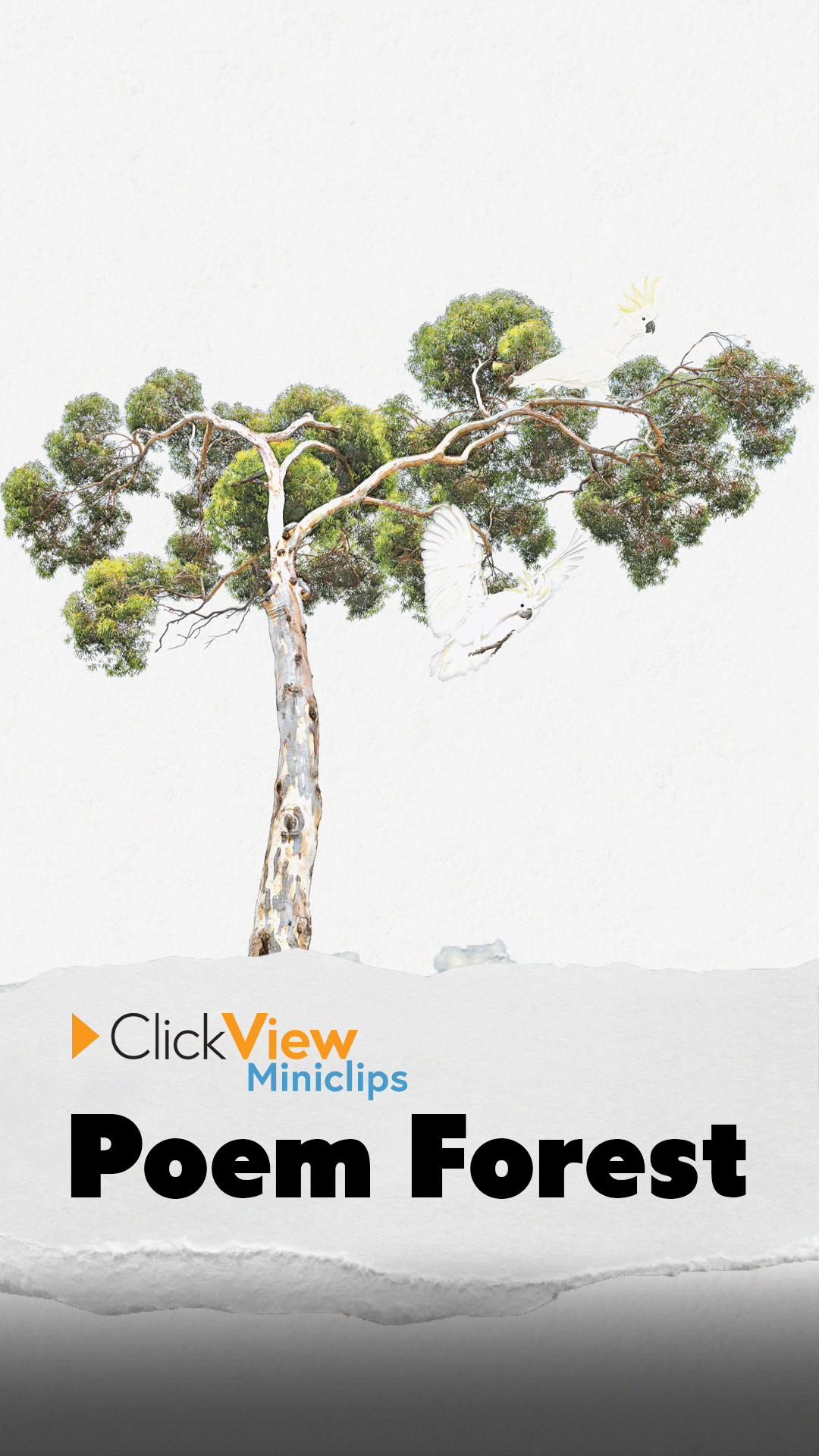 Miniclips: Poem Forest Videos & Resources | ClickView