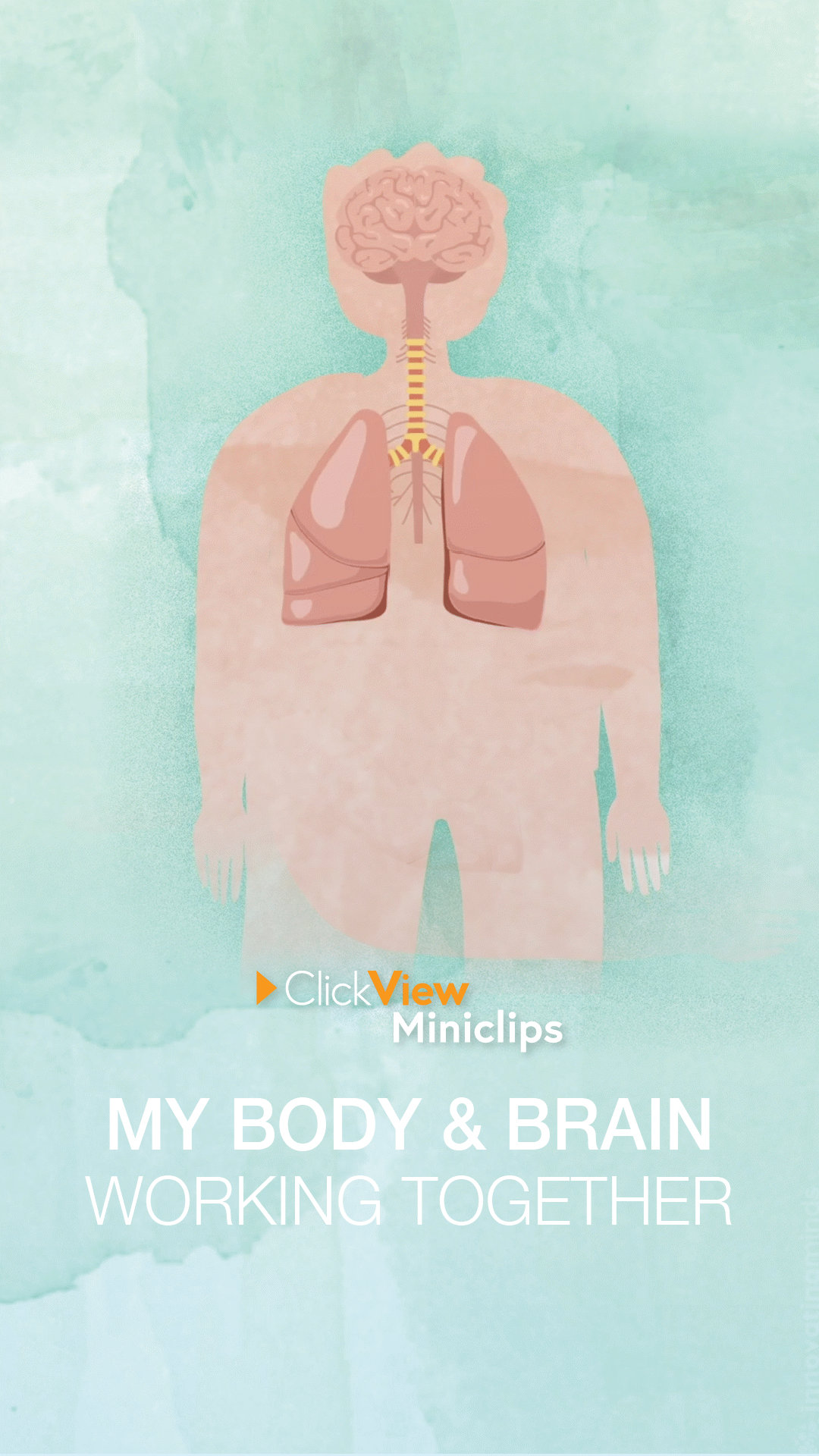 Feelings and Emotions | ClickView