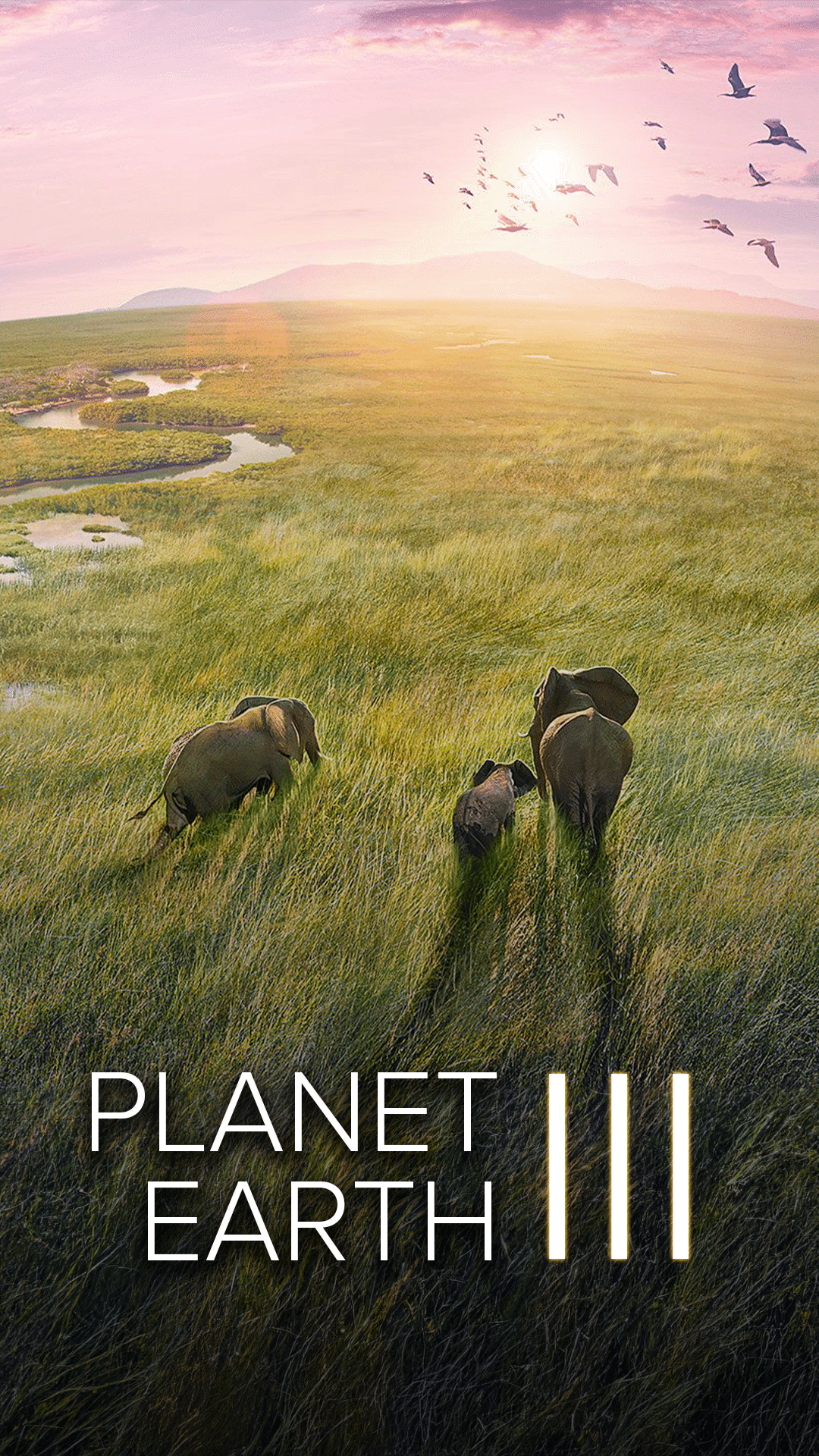 Planet Earth III Videos & Resources | ClickView