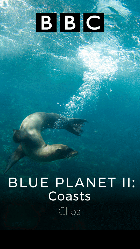Blue Planet II: Coasts (Clips) Videos & Resources | ClickView