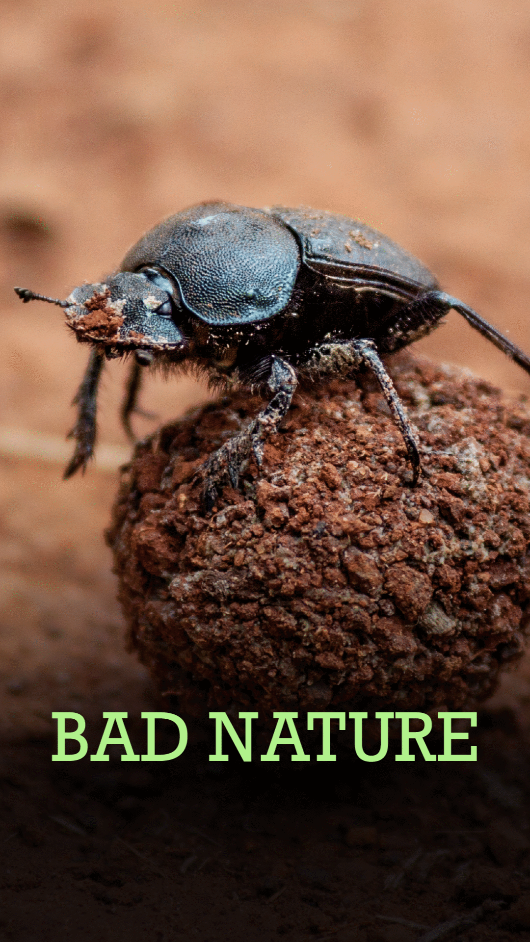 Bad Nature Videos & Resources | ClickView