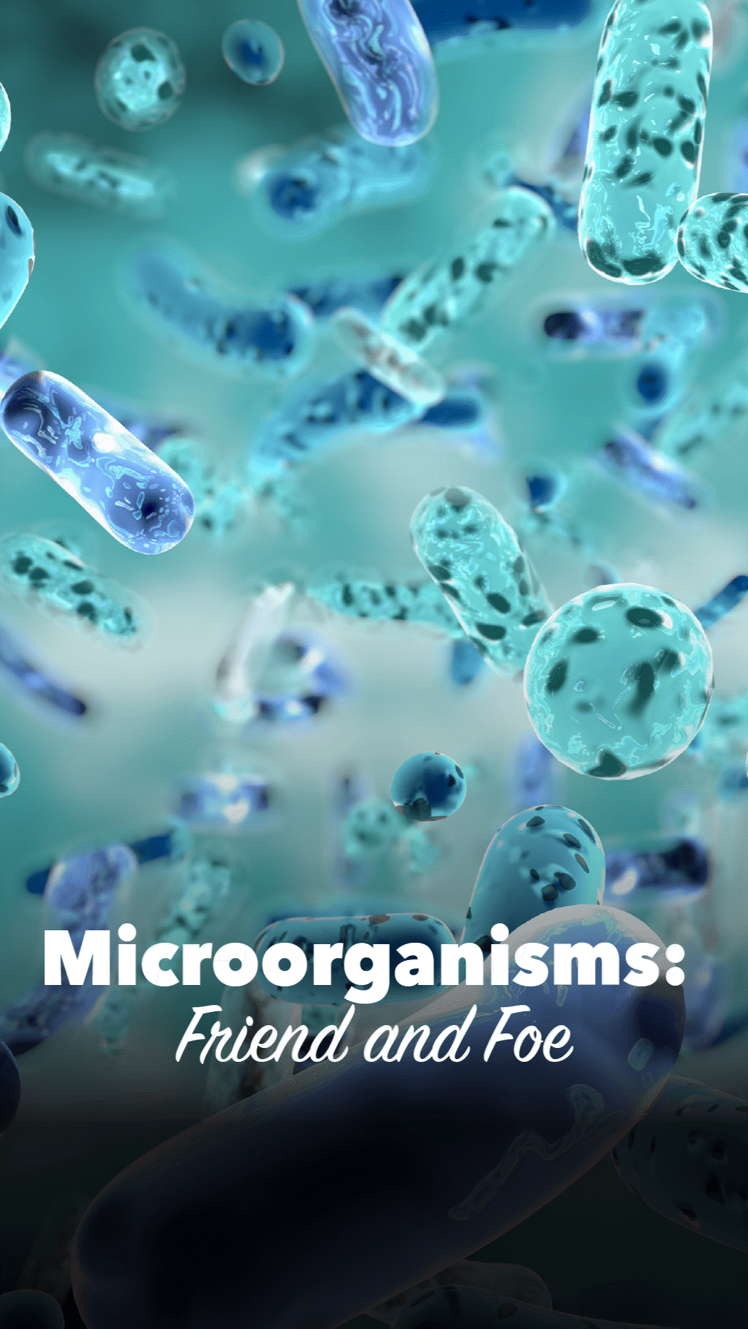 Microorganisms: Friend and Foe Videos & Resources | ClickView