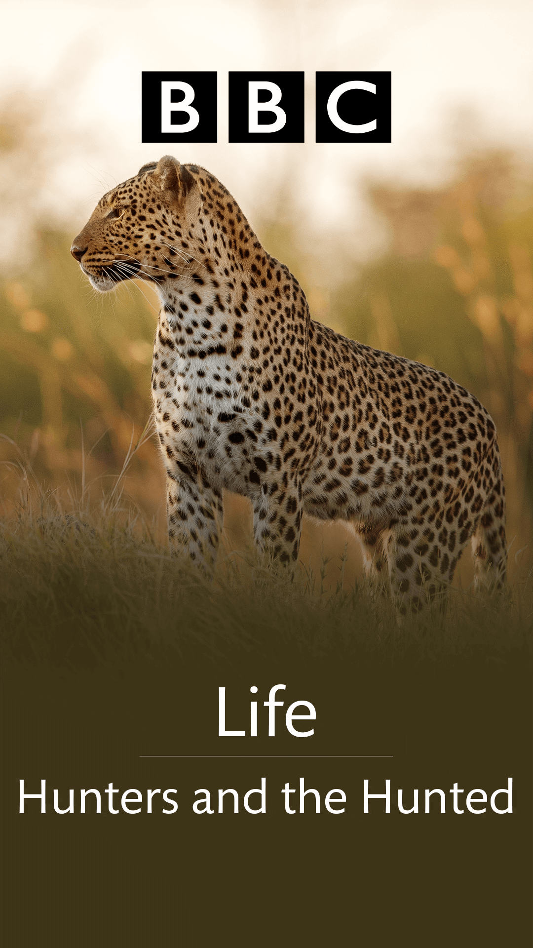 Our Planet Videos, Resources & Worksheets | ClickView