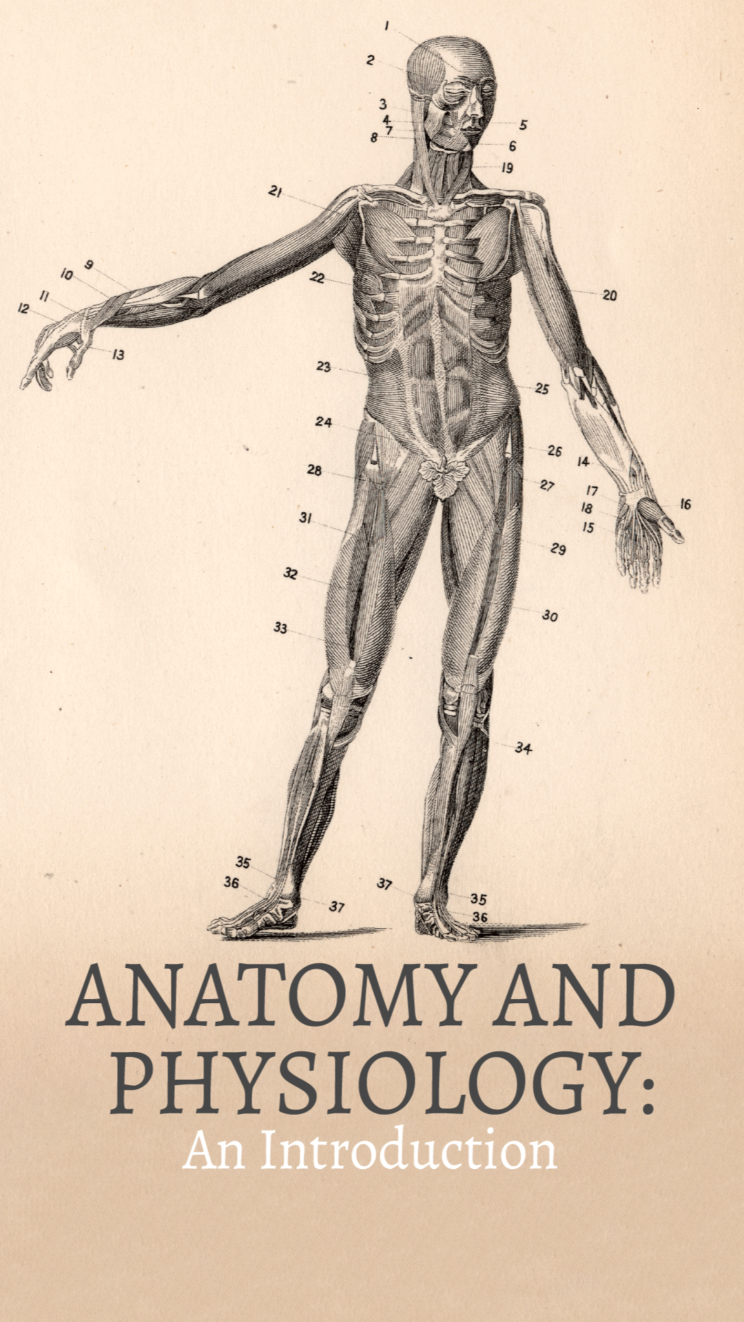 Anatomy and Physiology: An Introduction | ClickView