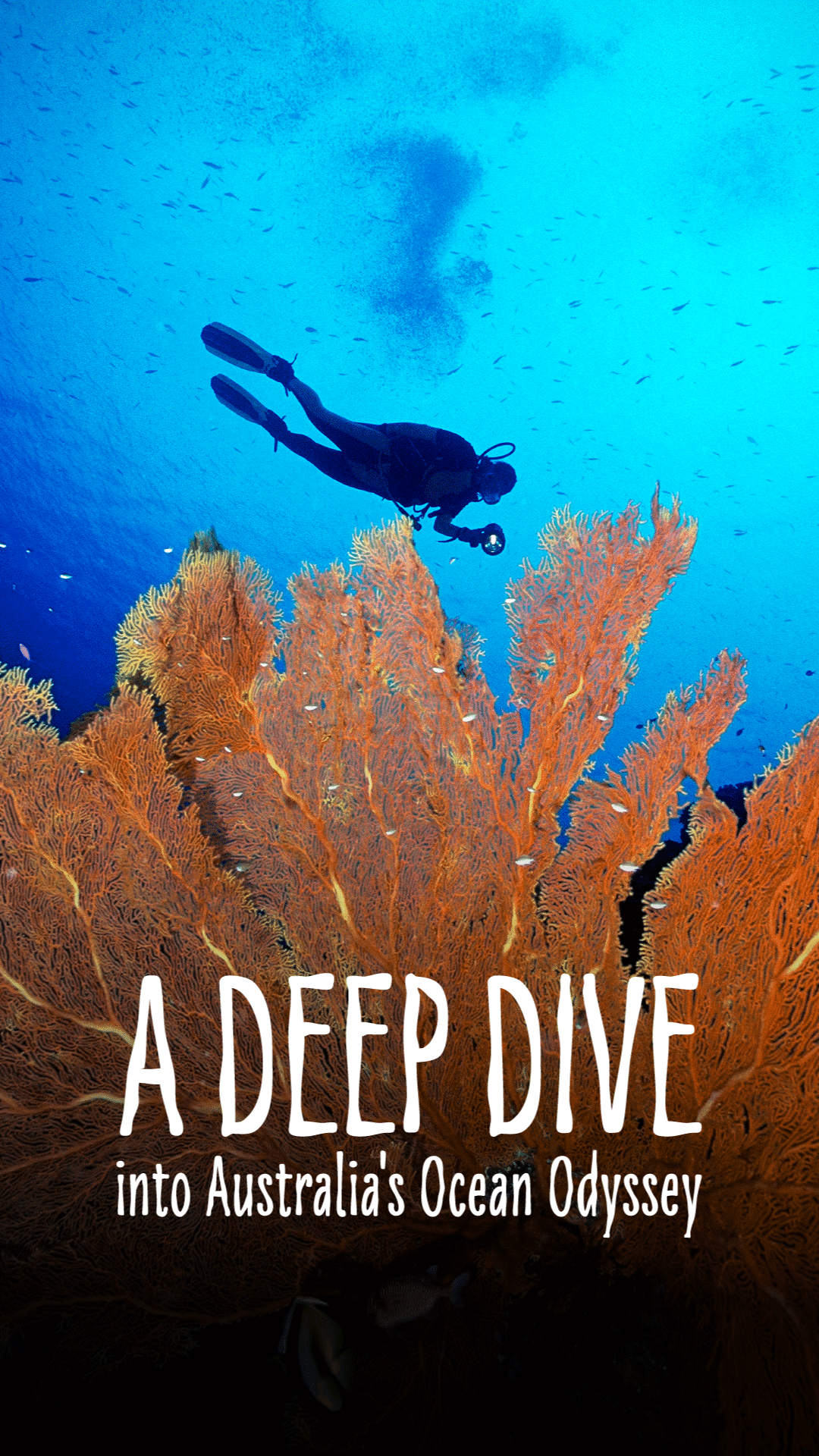 A Deep Dive into Australia's Ocean Odyssey | ClickView