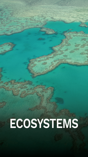 Ecosystems Videos & Resources | ClickView Ecosystems Videos & Resources | ClickView