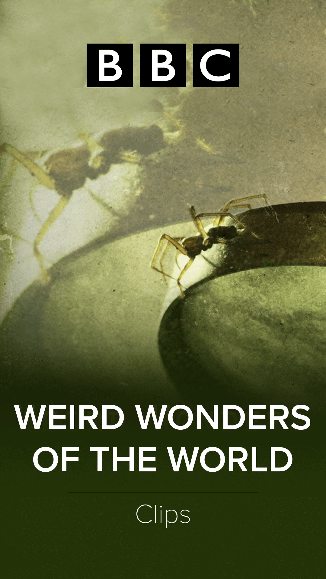 Weird Wonders of the World (Clips) | ClickView