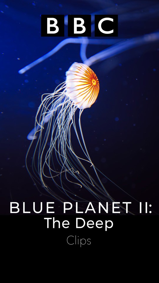 Blue Planet II: The Deep (Clips) | ClickView