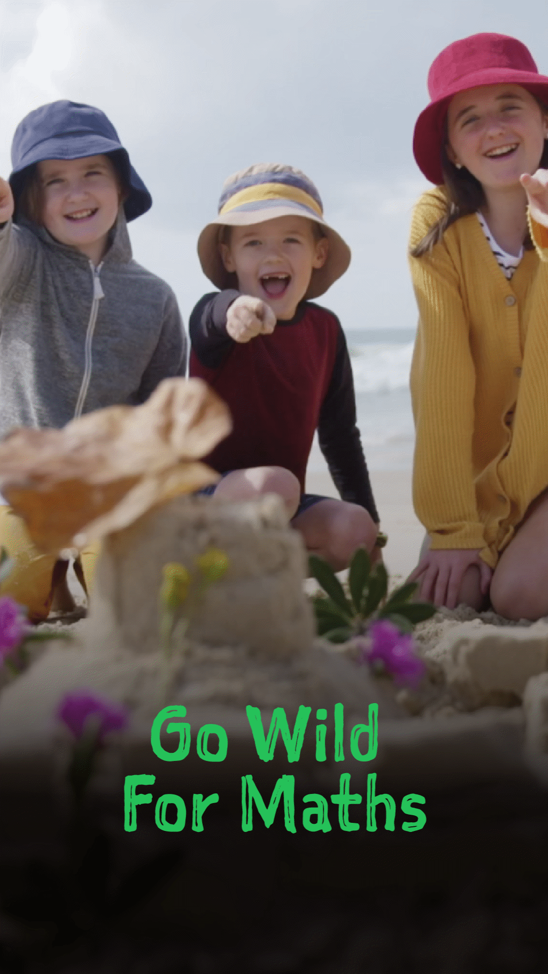 Go Wild for Maths Videos & Resources | ClickView
