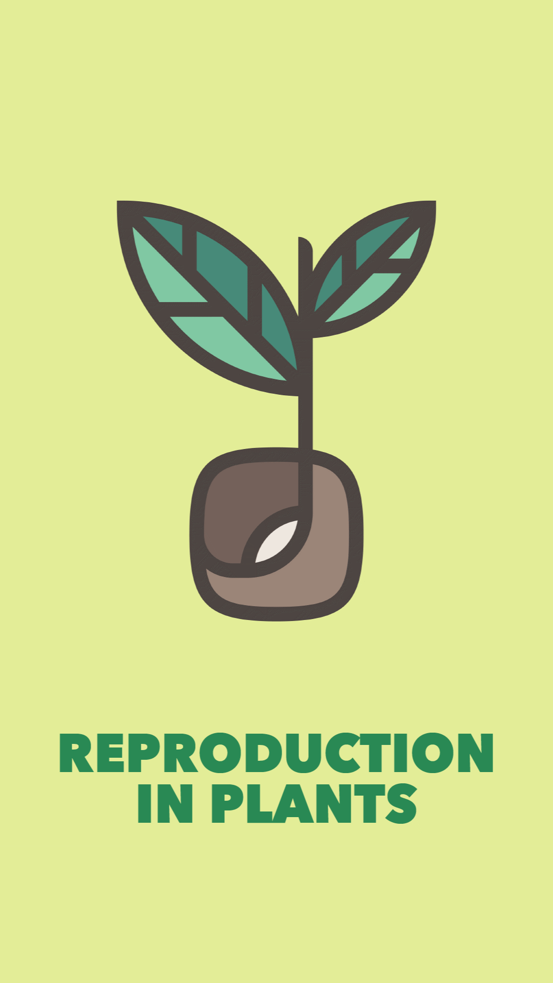Reproduction in Plants Videos & Resources | ClickView