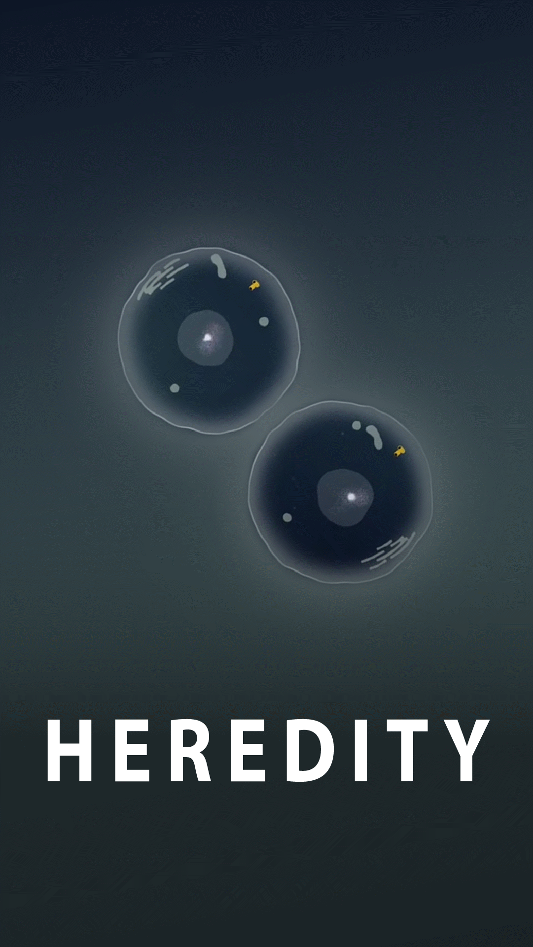 Heredity Videos And Resources Clickview 8666