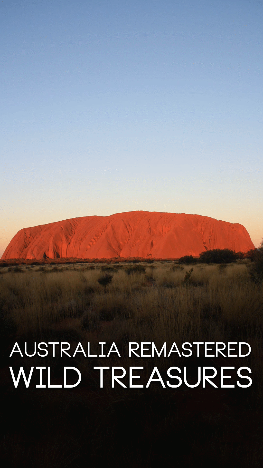 Australia Remastered: Wild Treasures | ClickView