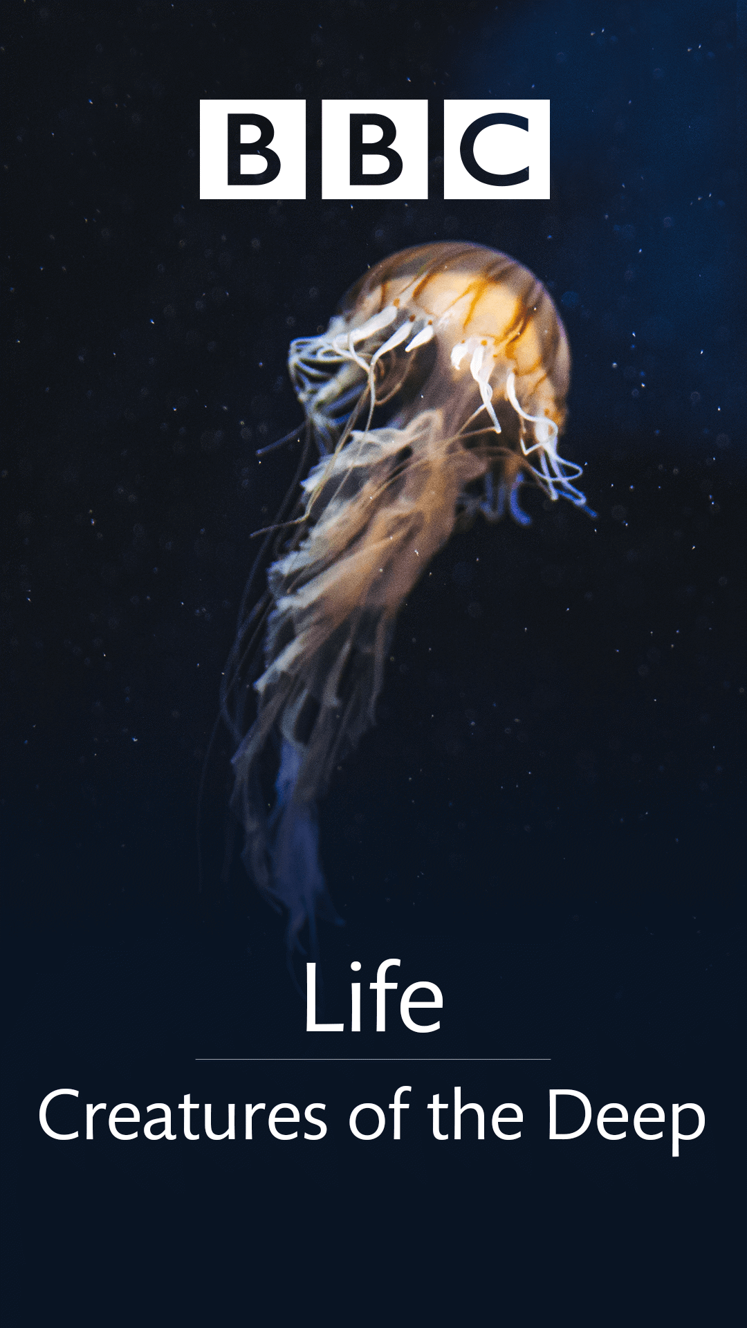 Life: Creatures of the Deep (Clips) | ClickView