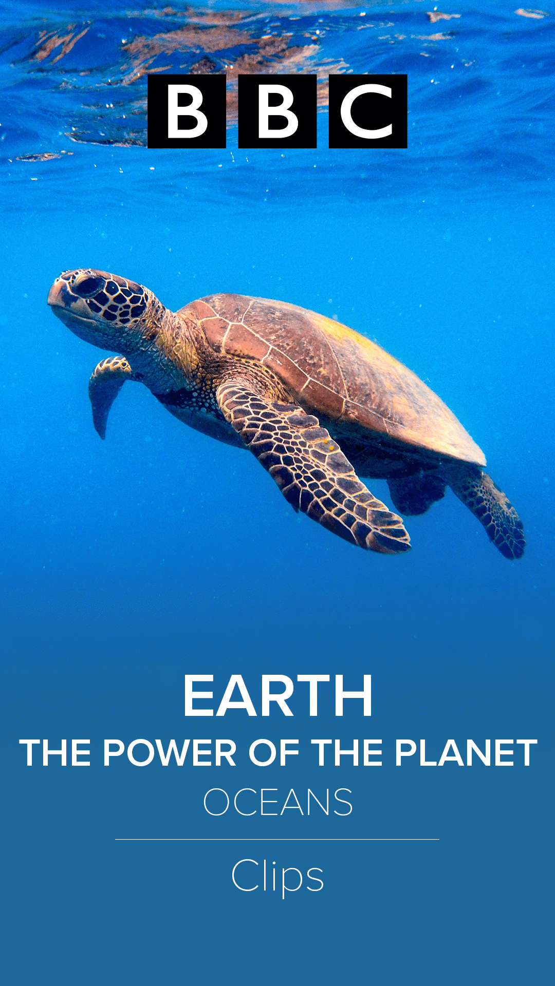 Earth: The Power of the Planet - Oceans (Clips) | ClickView