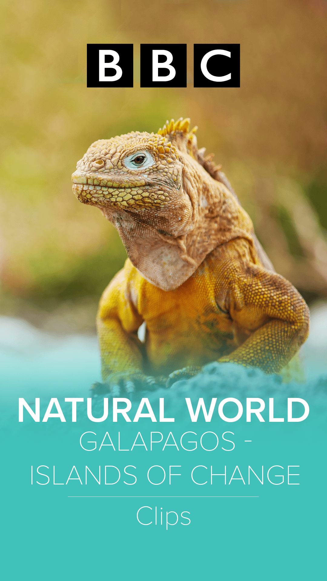 Natural World: Galapagos - Islands of Change (Clips) | ClickView