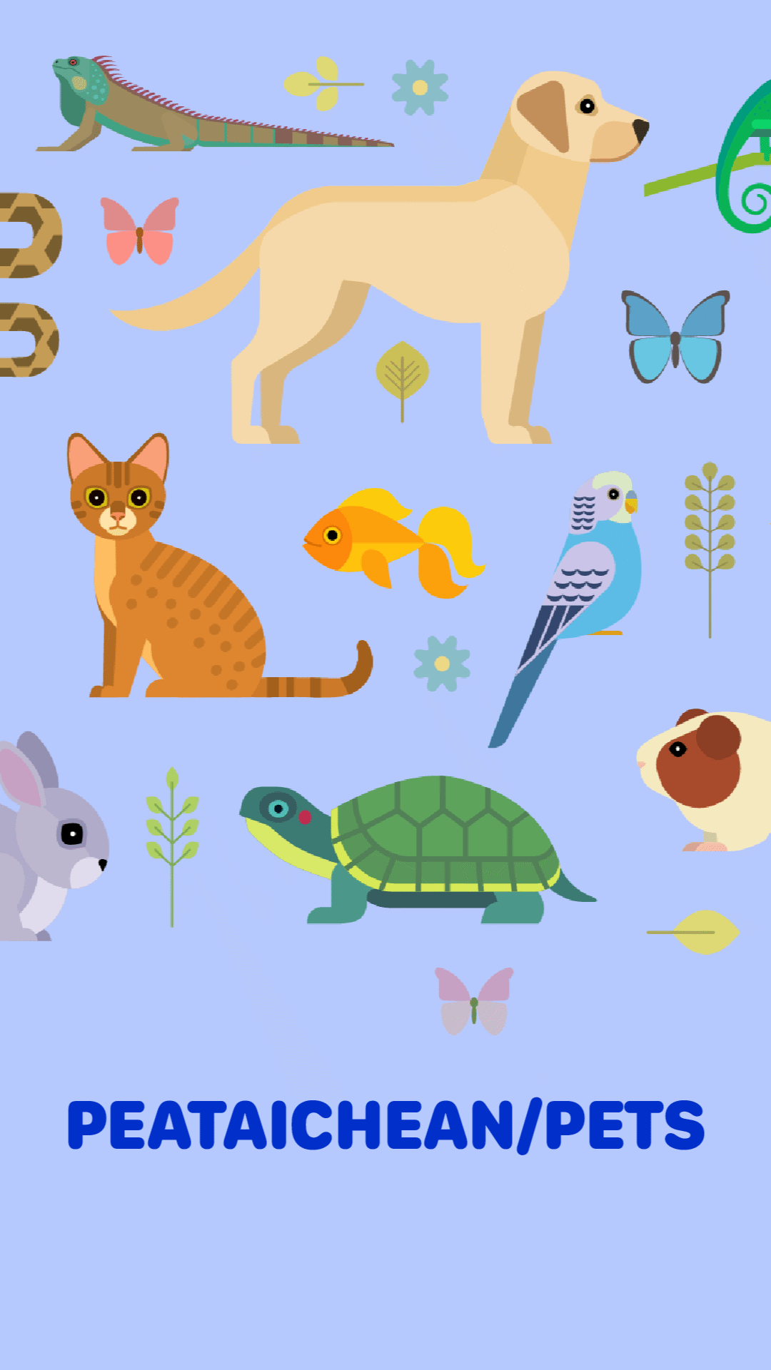 Peataichean/Pets Videos & Resources | ClickView